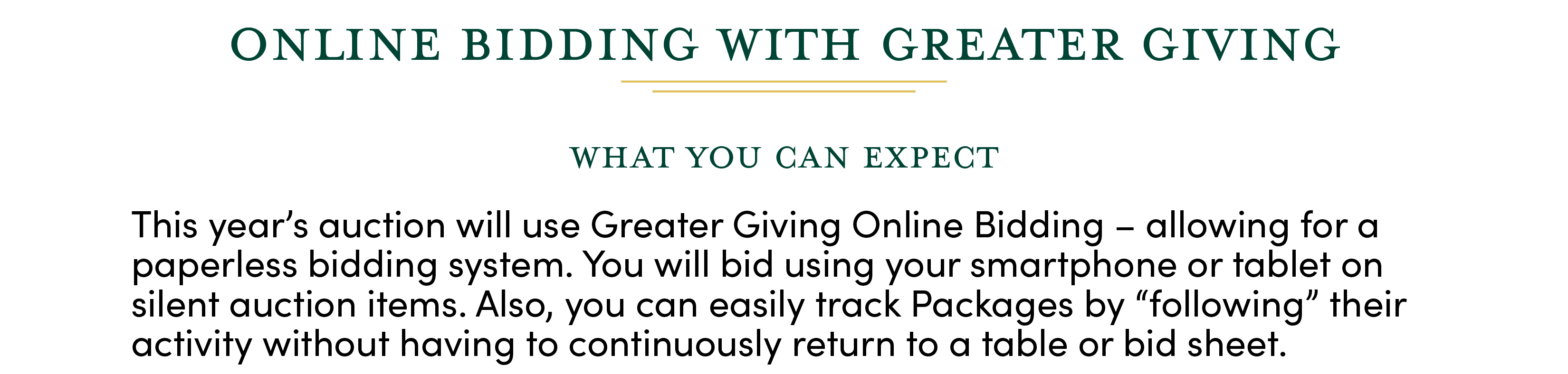 How Online Bidding Works